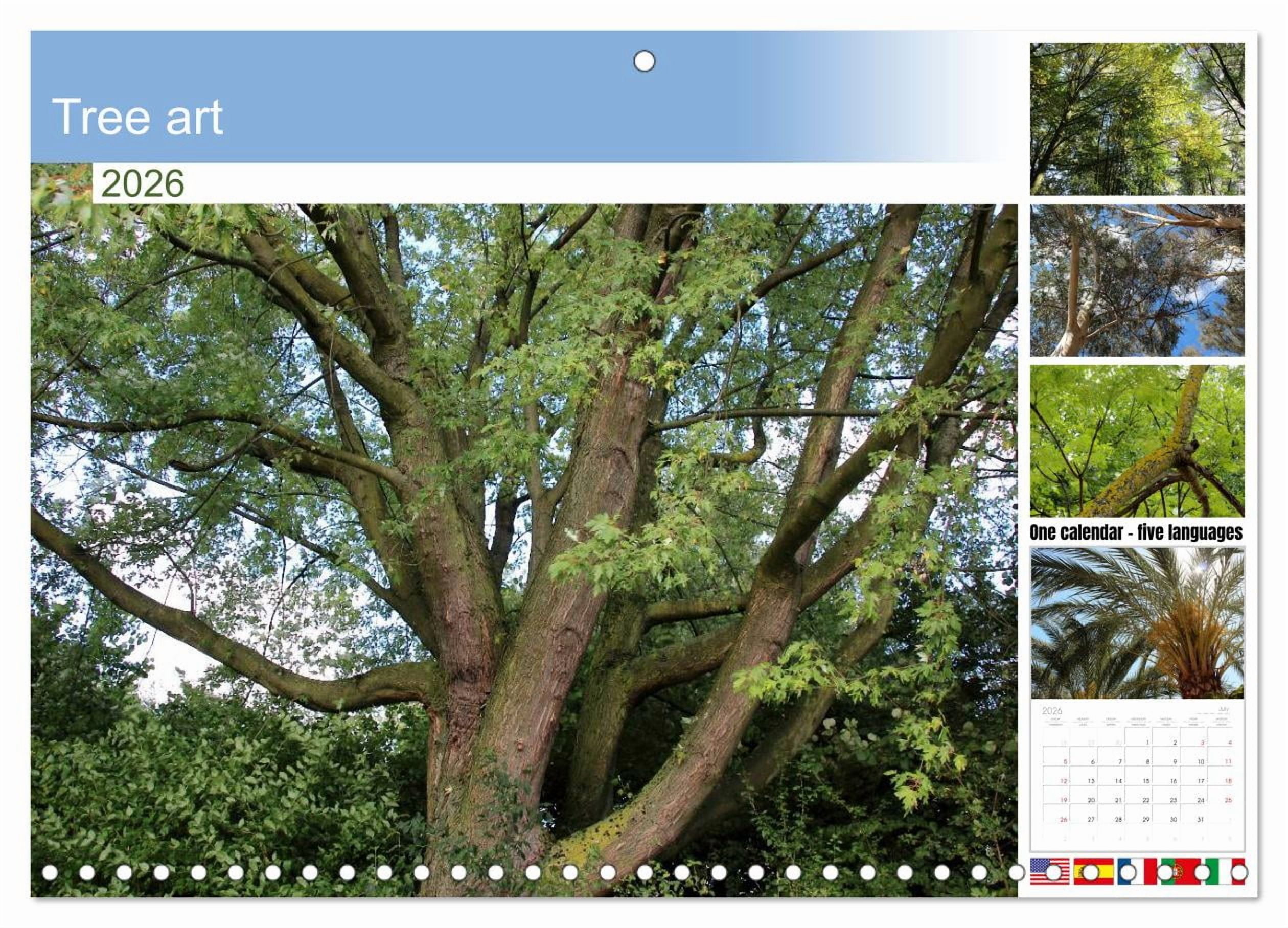 Tree art (Monthly Wall Calendar 2026 16.5 x 23.4 (open)), CALVENDO 14 ...