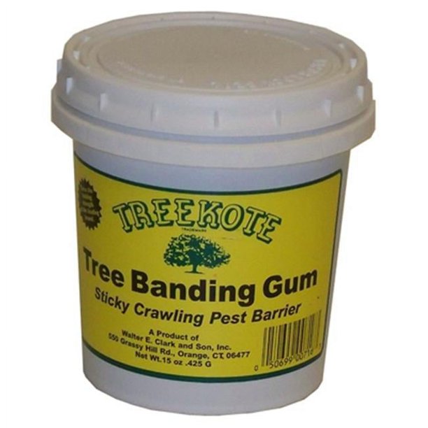 EATON BROTHERS CORP 15OZ Tree Banding Gum 300716 - Walmart Business ...
