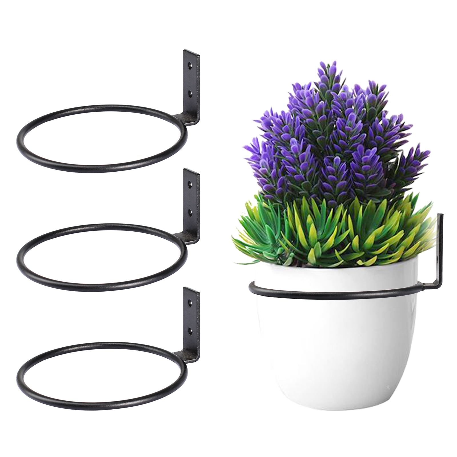 TreeLen 4 Inch Flower Plant Holder Ring Wall Mounted, 3-Pack Plant Wall ...