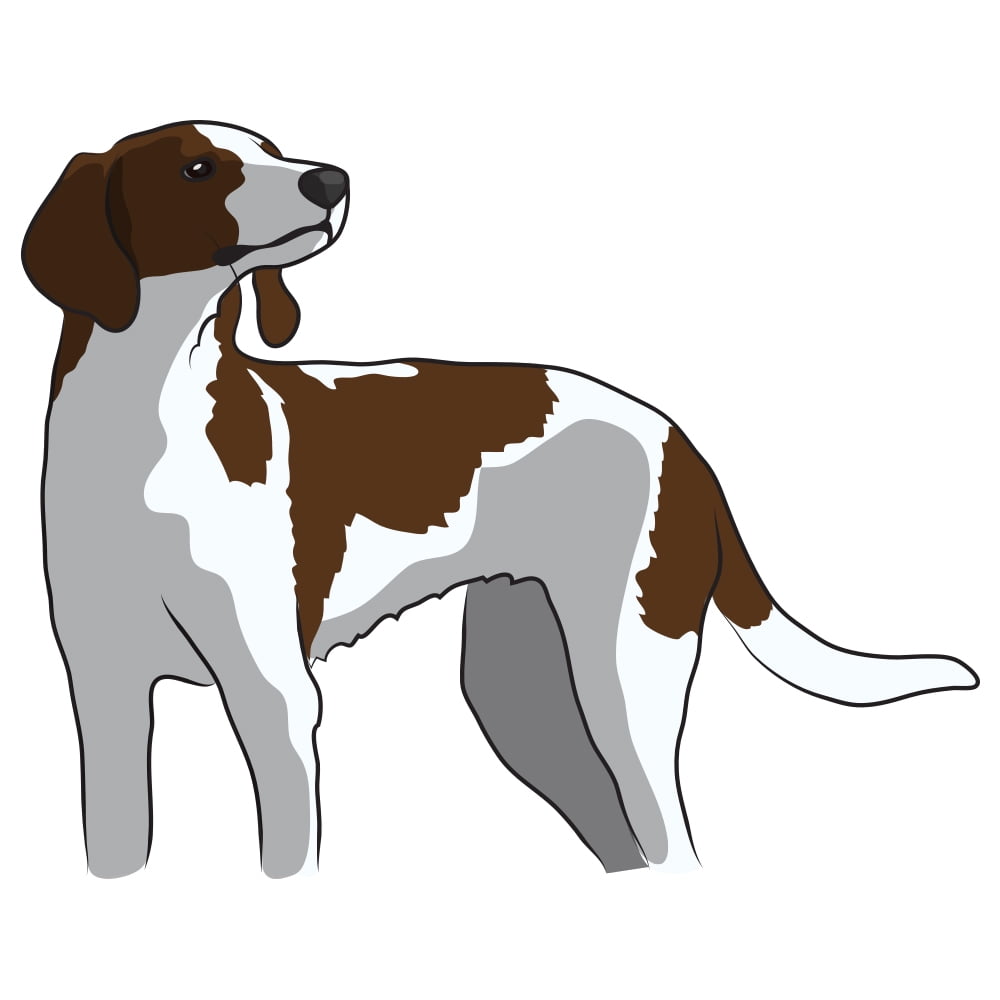Treeing Walker Coonhound Decal | Indoor/Outdoor | Dog Lover Super Cute ...