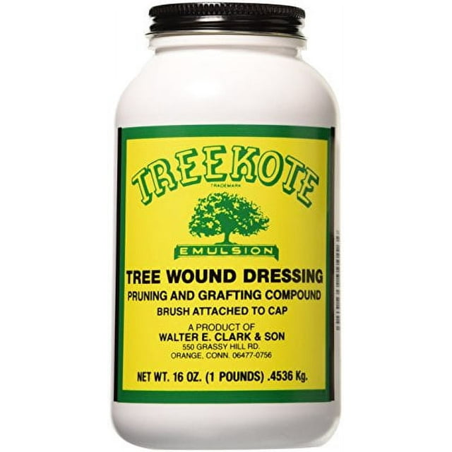 Treekote Wound Dressing 16OZ Brushtop for Trees and Shrubs - Pruning ...