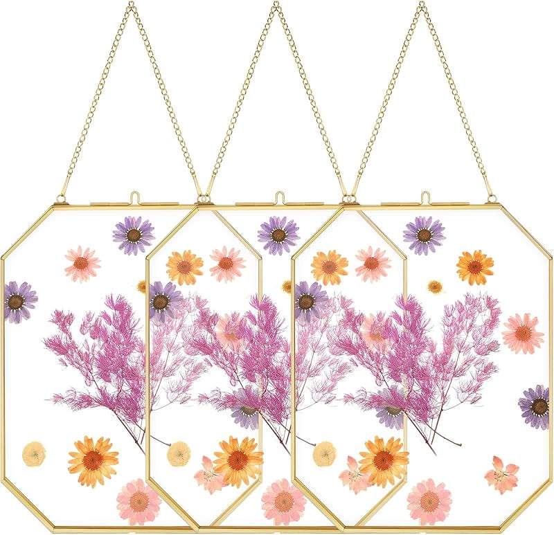 Treela 3 Pcs 8 x 10 Inch Hanging Gold Glass Floating Frame Octagon ...