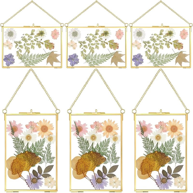 Treela 6 Pcs Pressed Flower Glass Picture Frames 6 x 4 Inch Brass ...