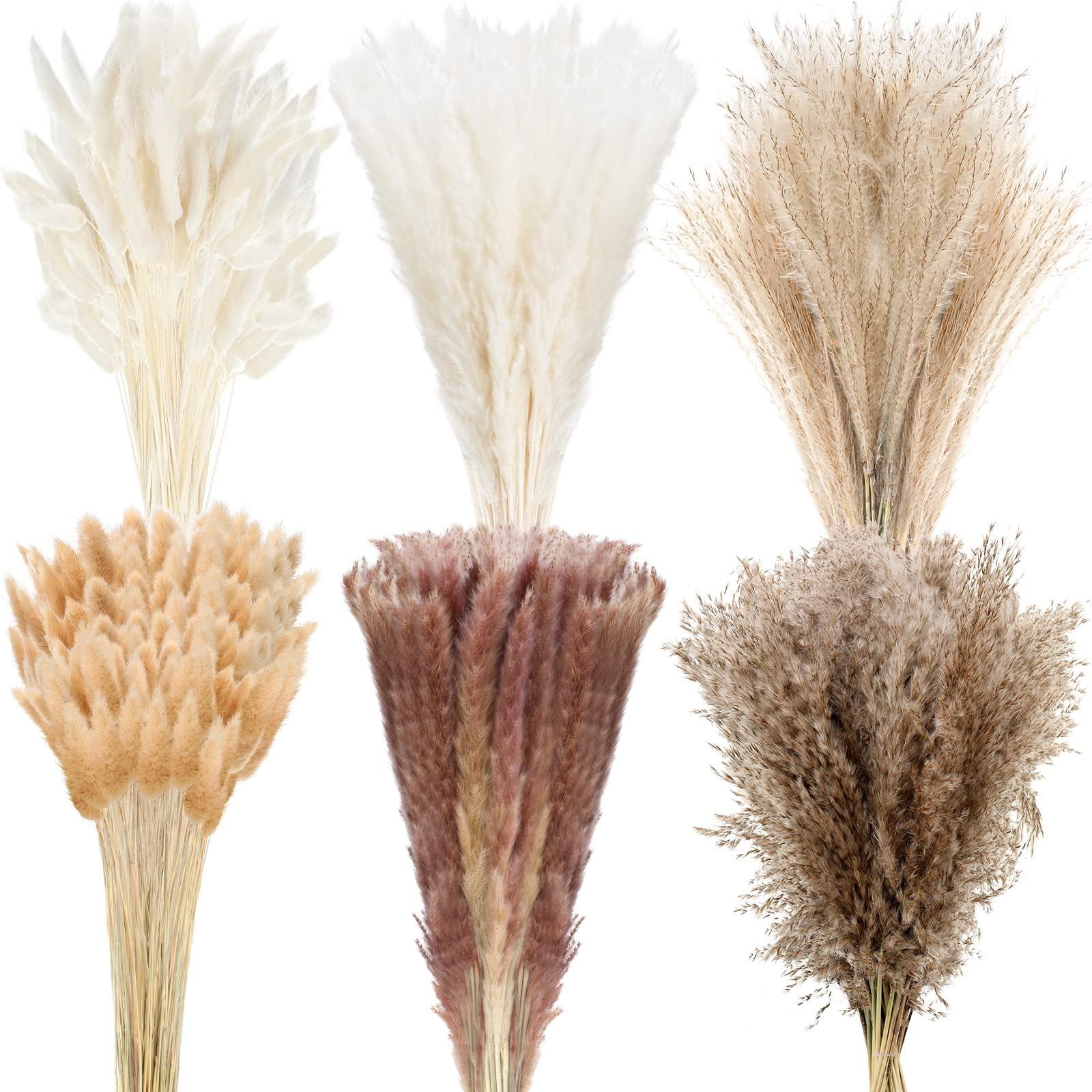 Treela 650 Pcs Dried Pampas Grass Decor Bulk 17" Dried Bunny Tail ...