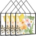 Treela Pressed Flowers Glass Frames 6 x 6 Hanging Double Glass Picture ...