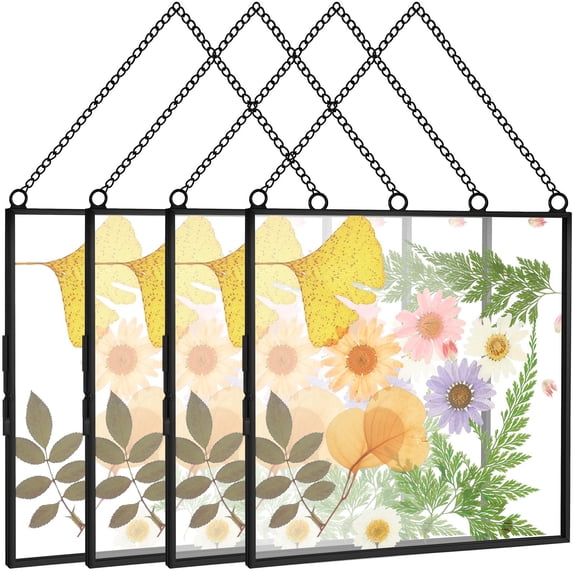 Treela Pressed Flowers Glass Frames 6 x 6 Hanging Double Glass Picture ...