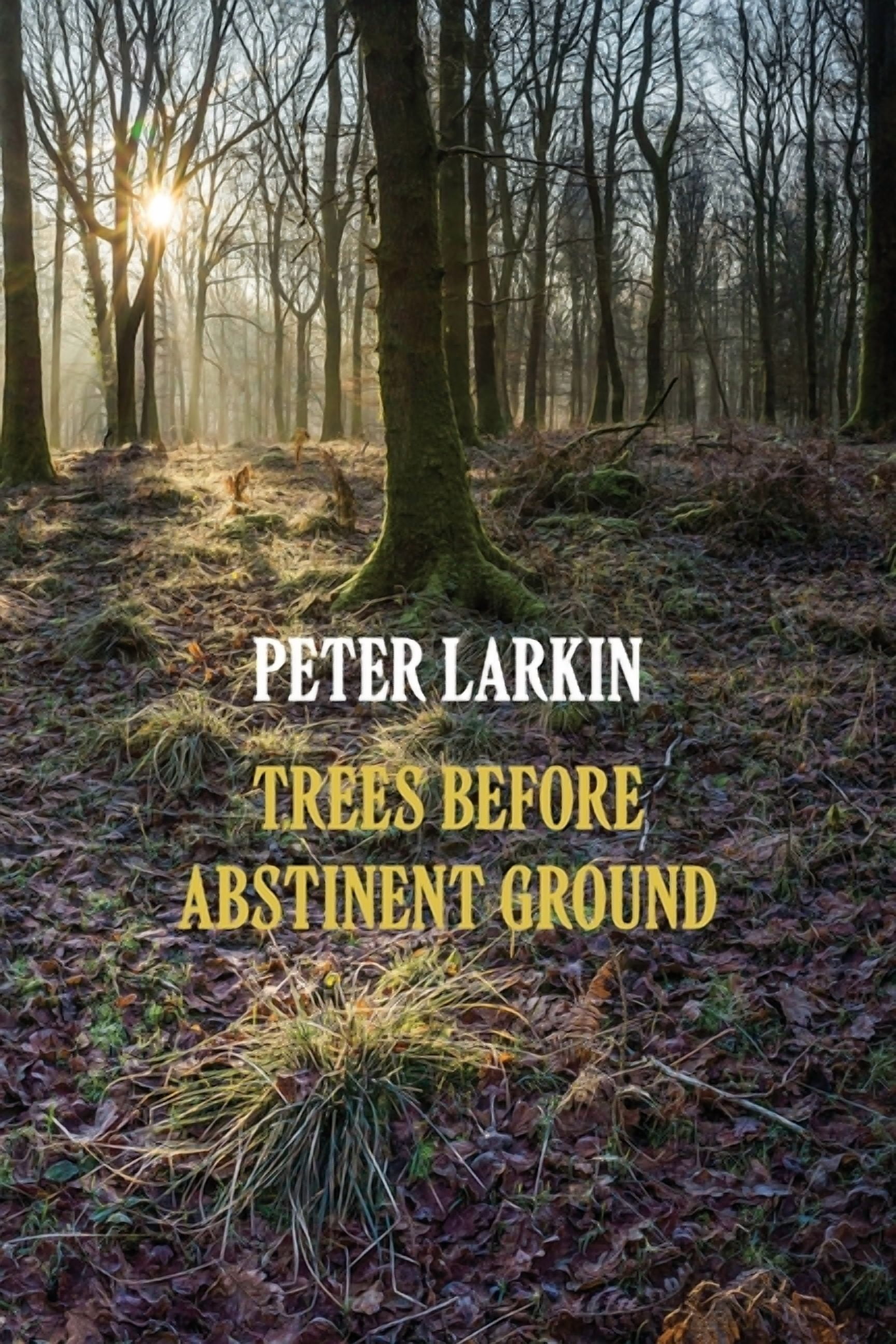 Peter Larkin