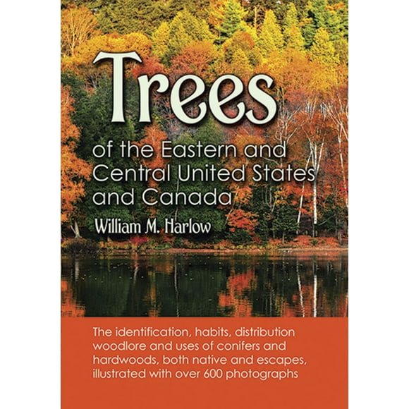 Conifer Identification