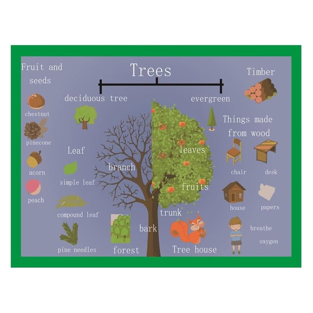 Trees Educational Poster for Kids - Nature & Science Learning Chart ...
