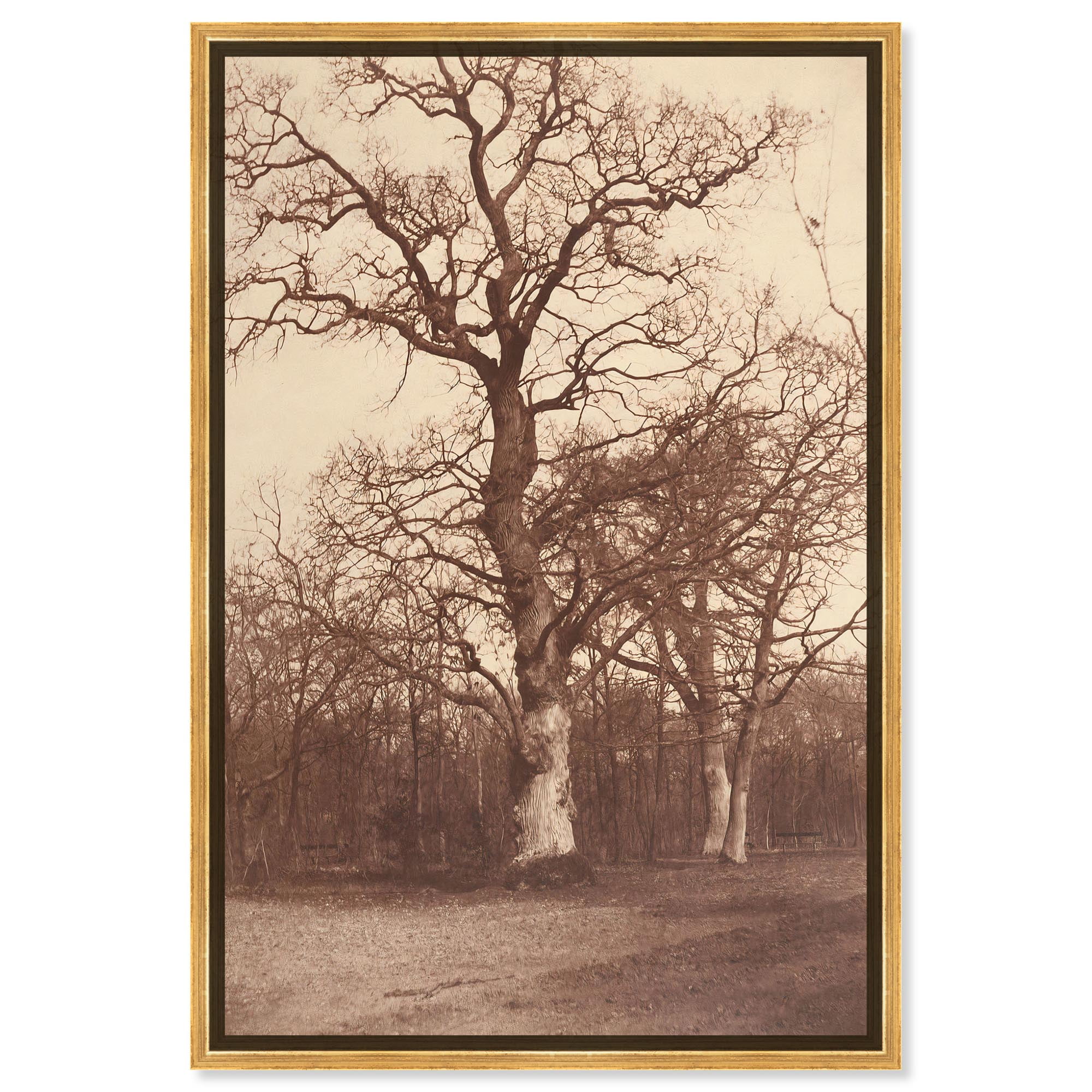 Trees In late 19s Canvas Vintage Landscape Art by Art Remedy, Gold ...