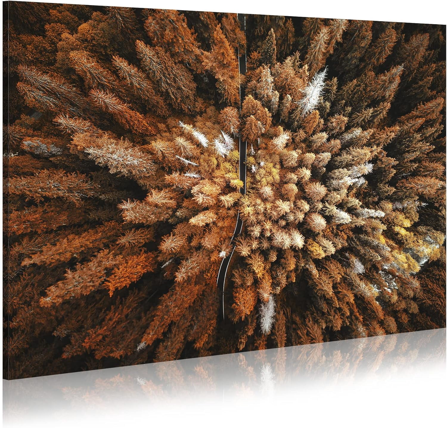 Trees Landscape Canvas Wall Art - Nature Looking Down the trees Picture ...