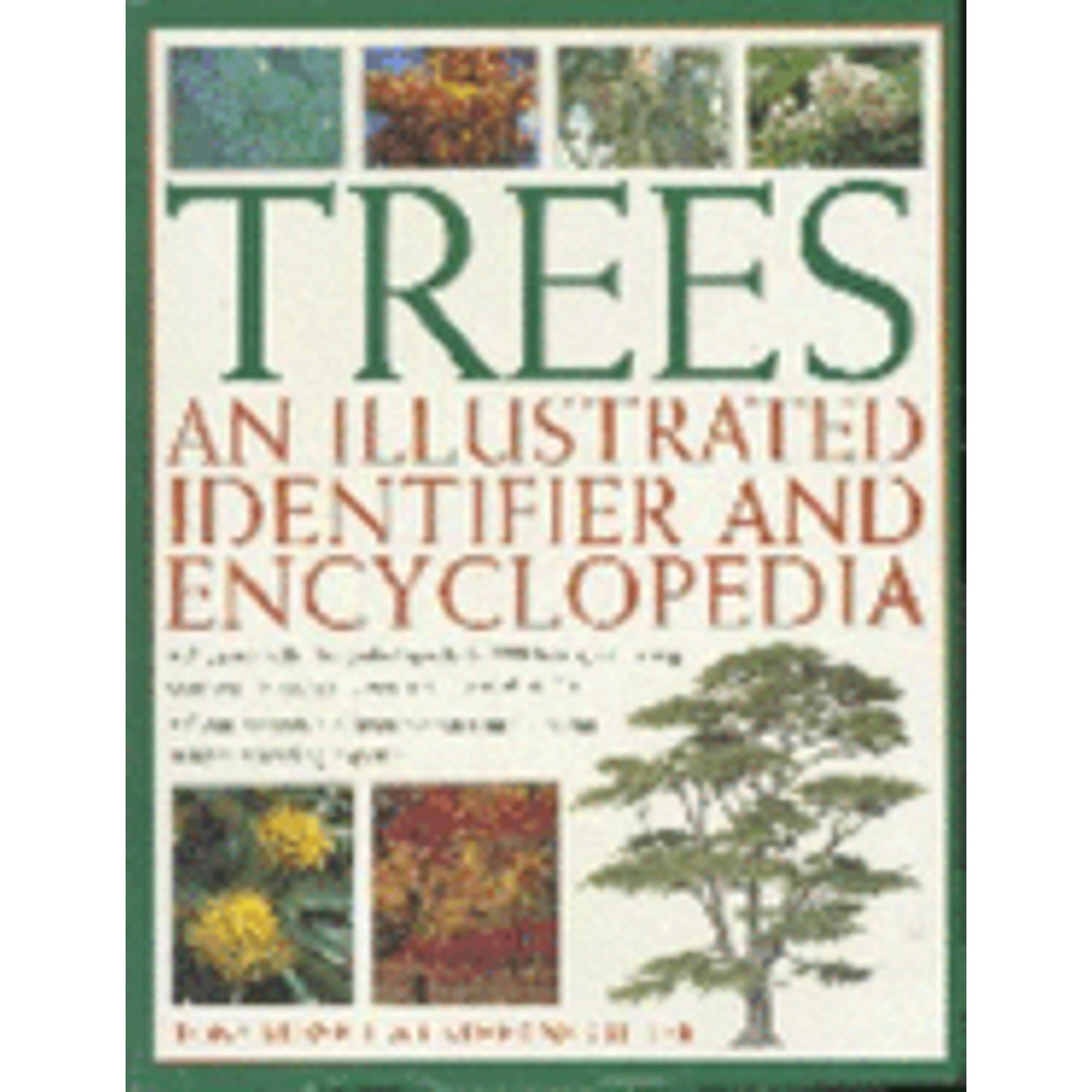 Pre-Owned Trees an Illustrated Identifier & Encyclopedia (Hardcover ...