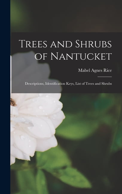 Trees and Shrubs of Nantucket; Descriptions, Identification Keys, List ...