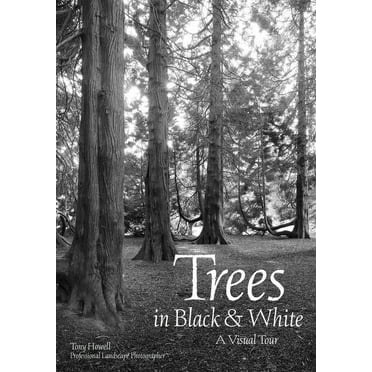 Banshee, The Black Art, (Paperback) - Walmart.com