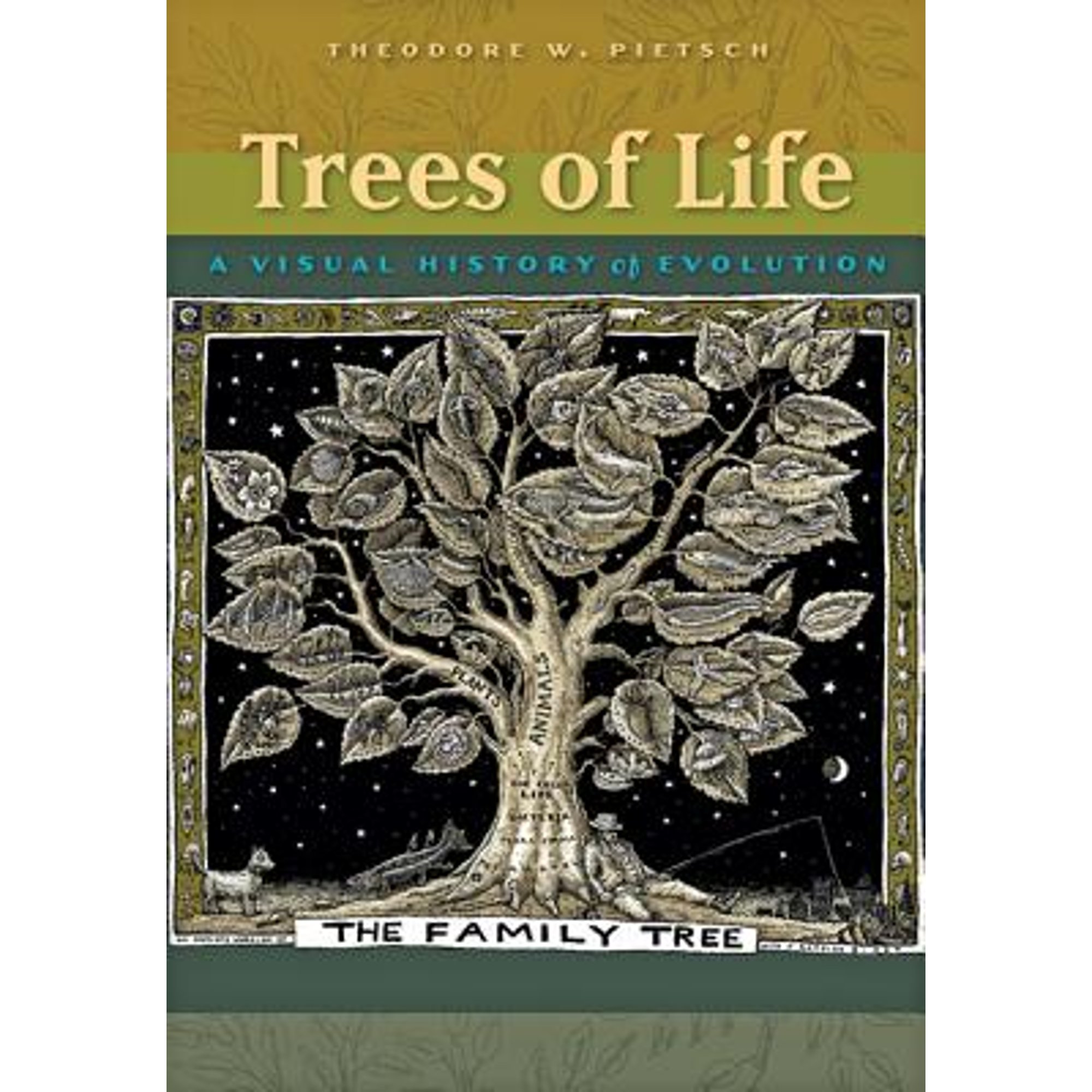 Pre-Owned Trees of Life: A Visual History Evolution Paperback Theodore ...