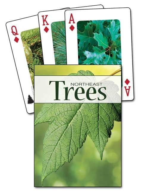 Trees of the Northeast Playing Cards - Walmart.com