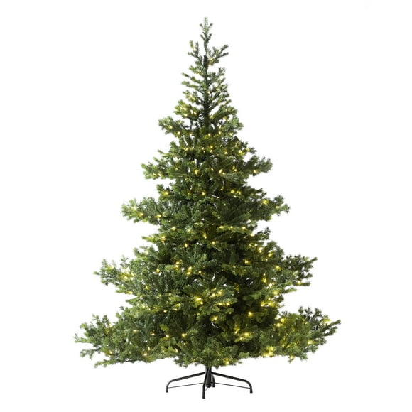 Treetopia Christmas Trees