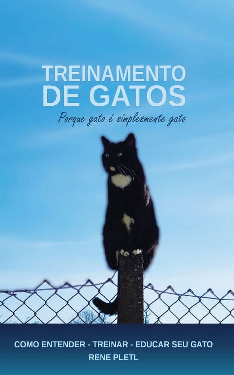 Treinamento de gatos porque gato Ã© simplesmente gato: Como entender ...