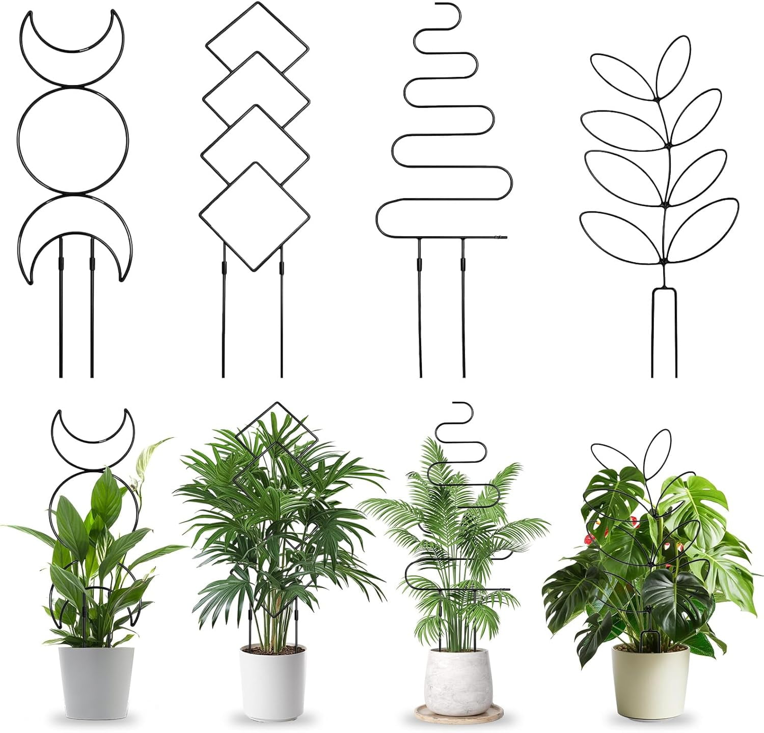 Trellis for Climbing Plants Indoor, Garden Trellis with 4 Different ...