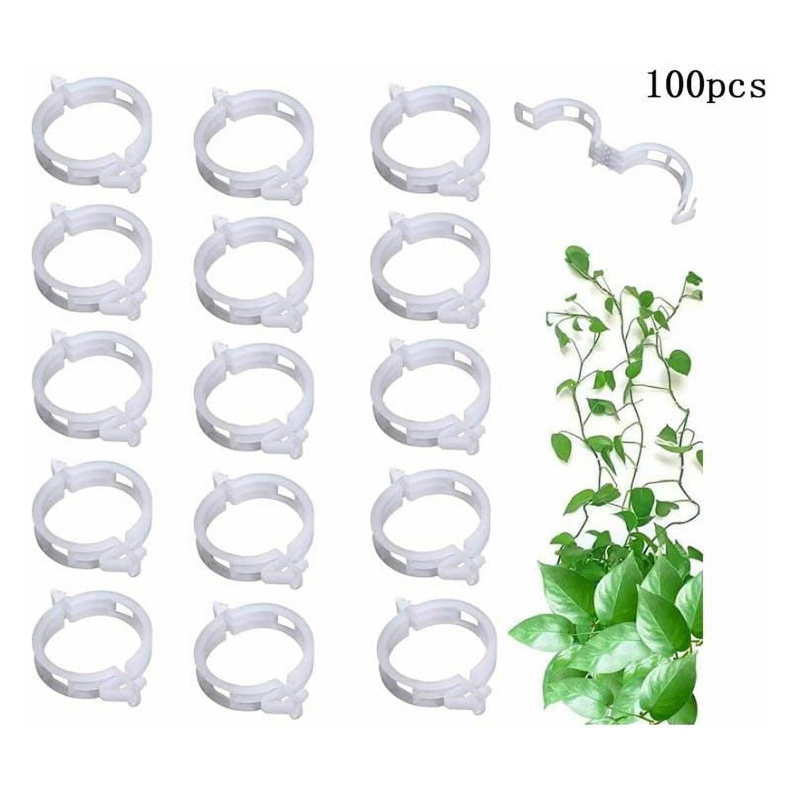 Trellis Clips for Vine Plants, Easy to Use Support Clips, High-quality ...