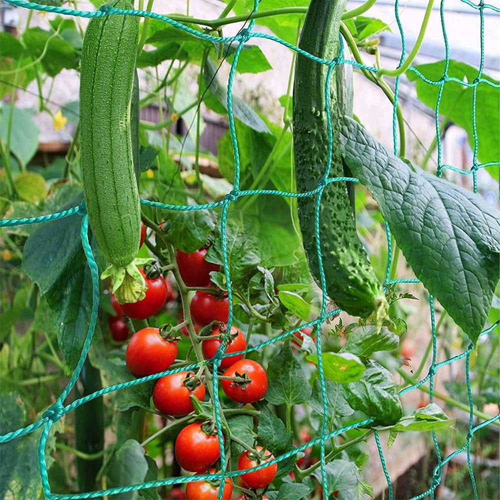 Trellis Netting, Climbing Plant Support Net Garden Pea Bean Neting ...
