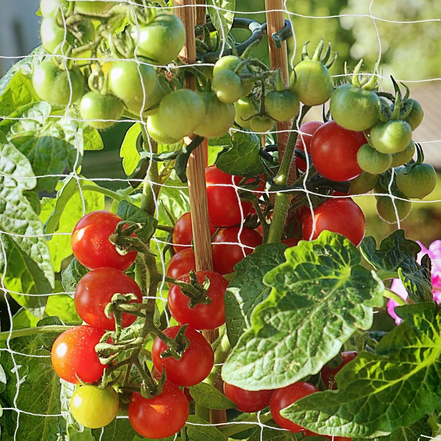 Trellis Netting, Garden Plant Trellis Netting, 6 x 30 ft Heavy Duty ...