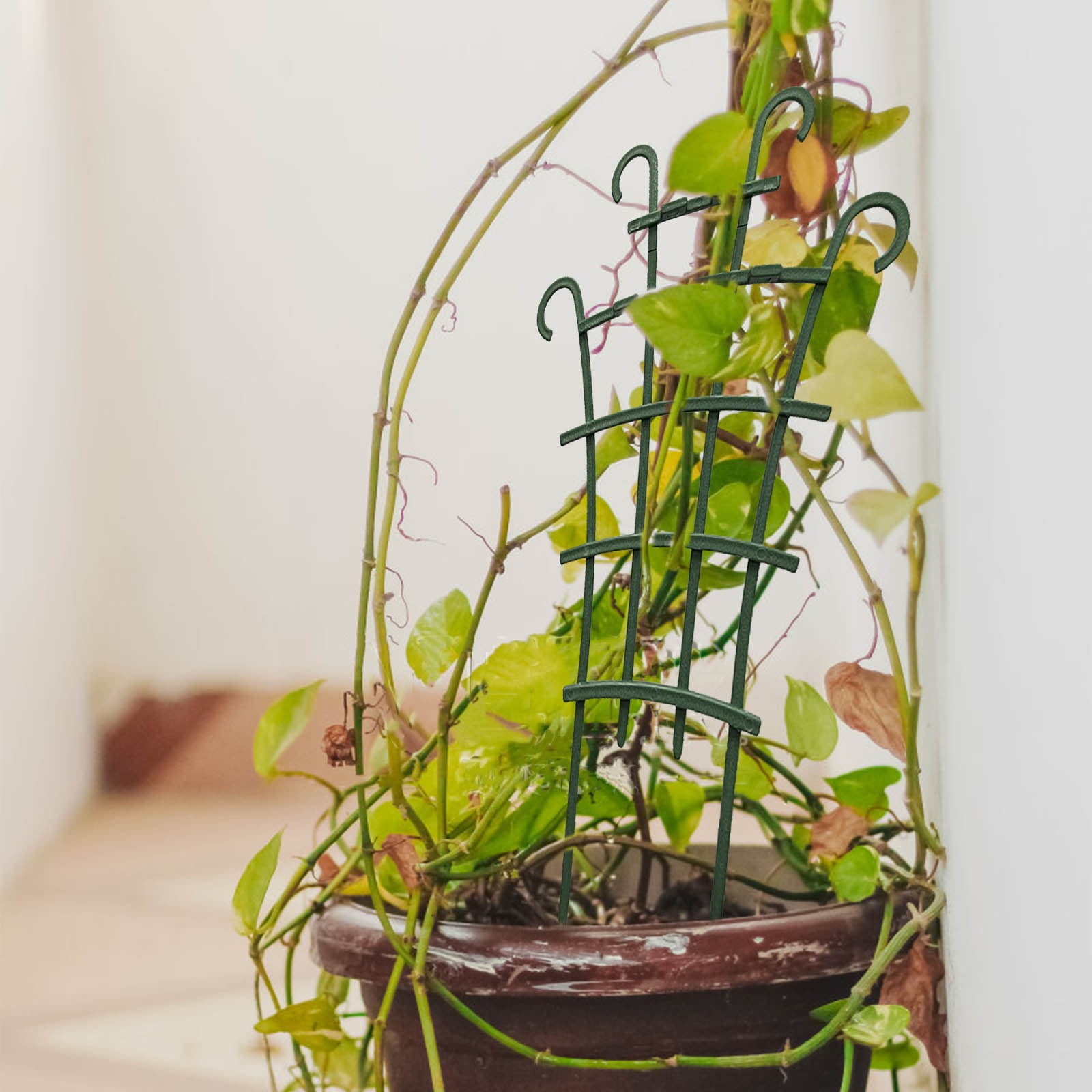 Trellis for Potted Plants Set of 4 Plastic Trellis 6x10 Inch Tomato ...