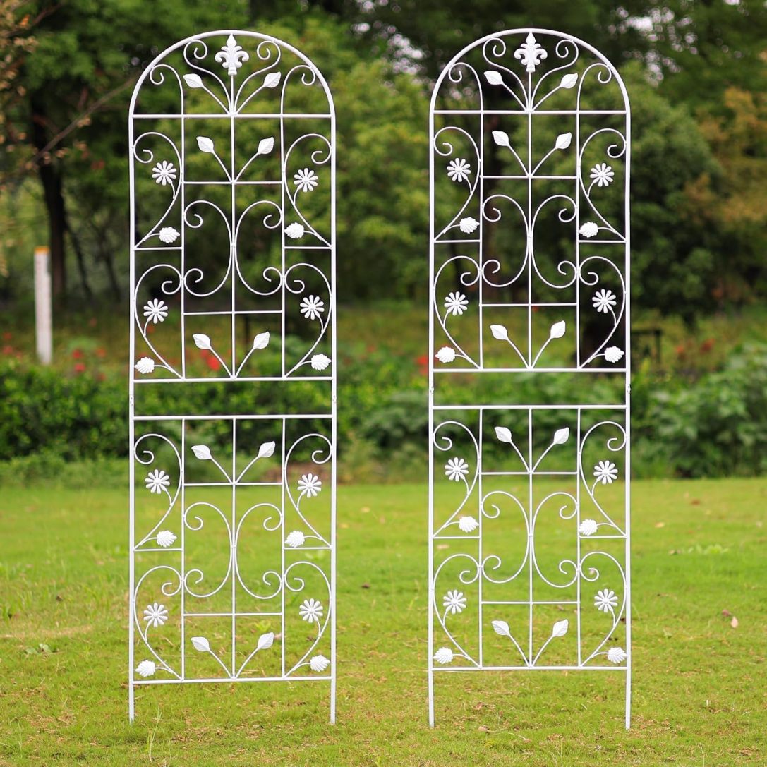 Trellis for Climbing Plants Outdoor, （2 Pack 70.8x19.6-inch）, Generic ...