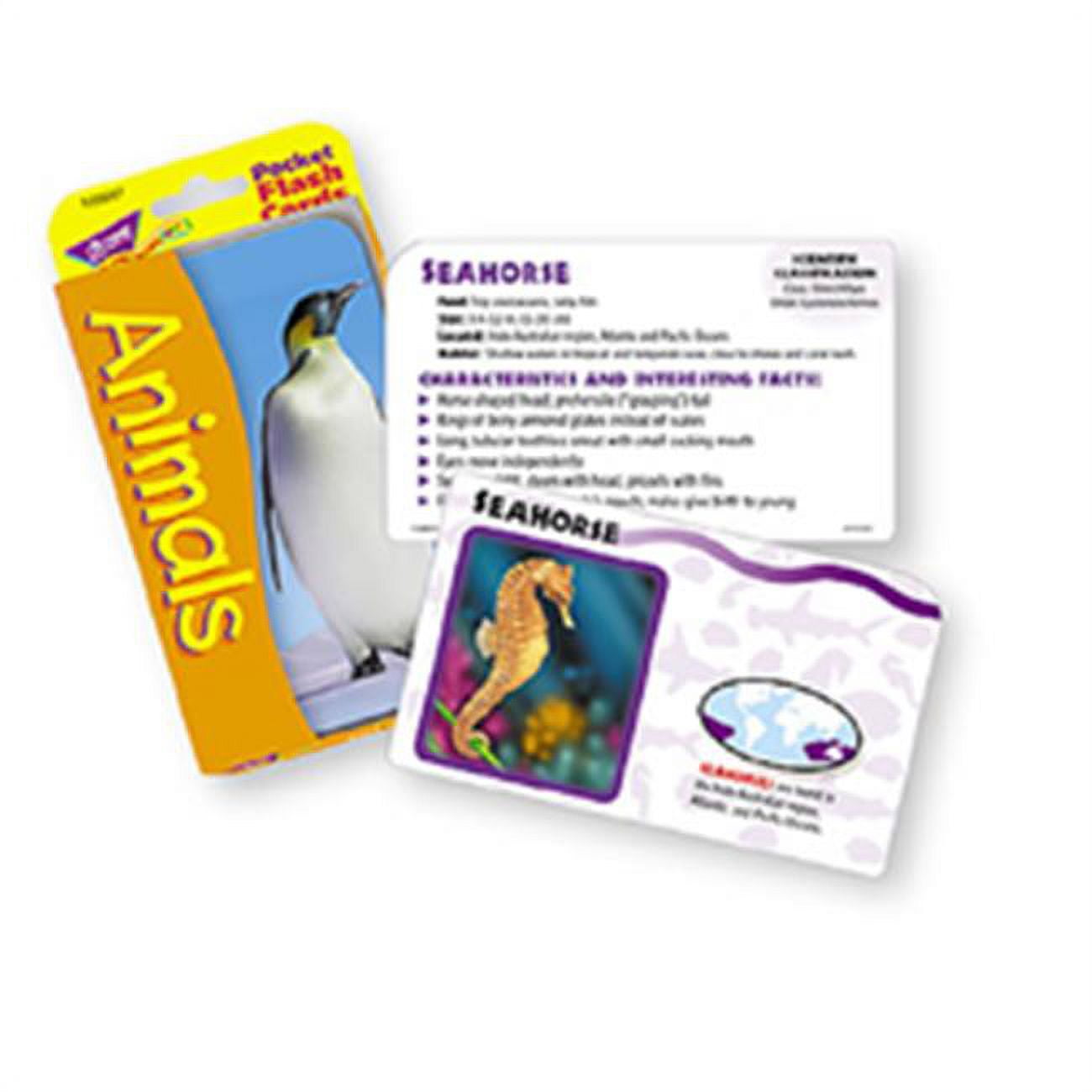 Trend Enterprises Pocket Animals Flash Cards (Set of 3) - Walmart.com