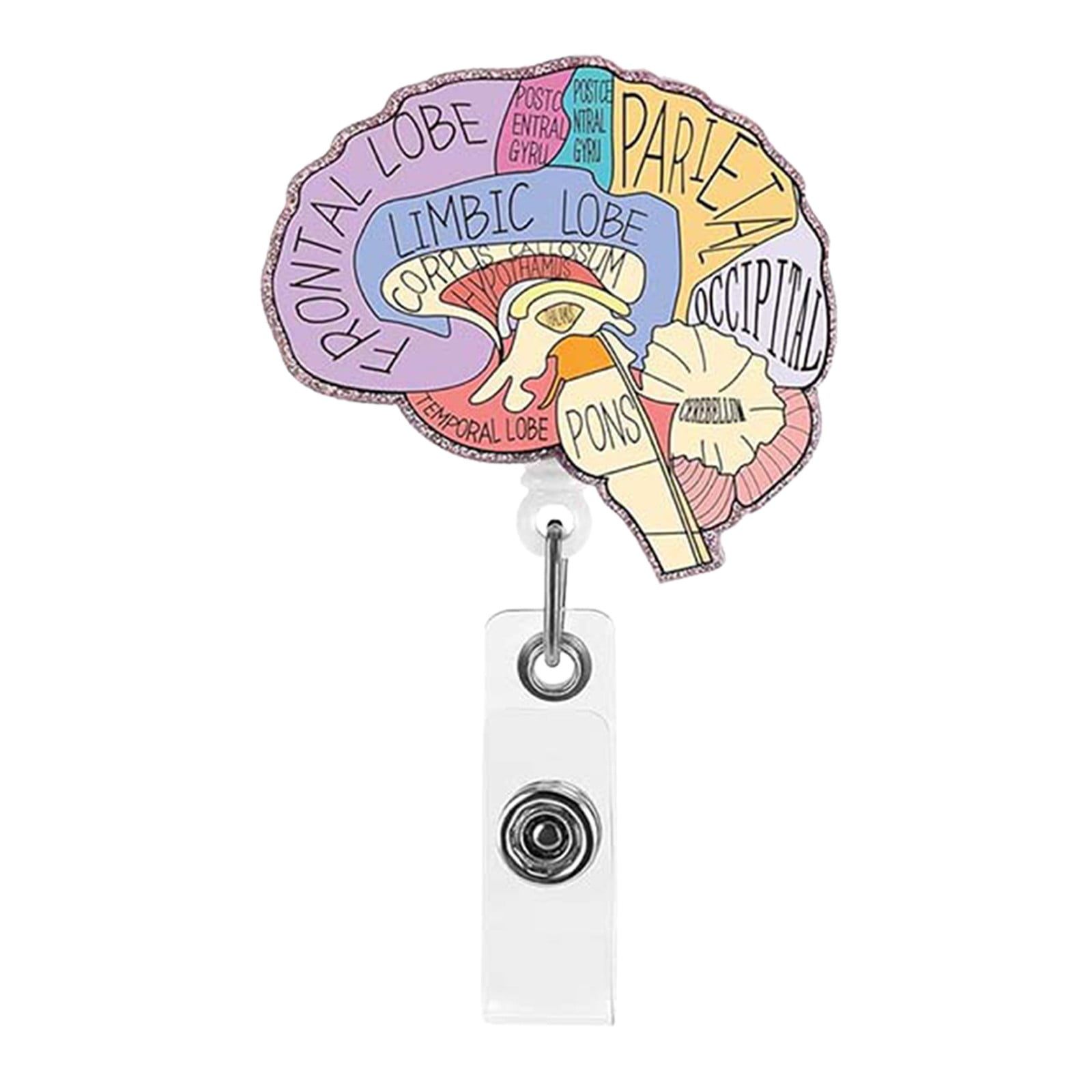 TrendTide Brain Badge Holder Retractable Reel ID Card Anatomy Funny ...