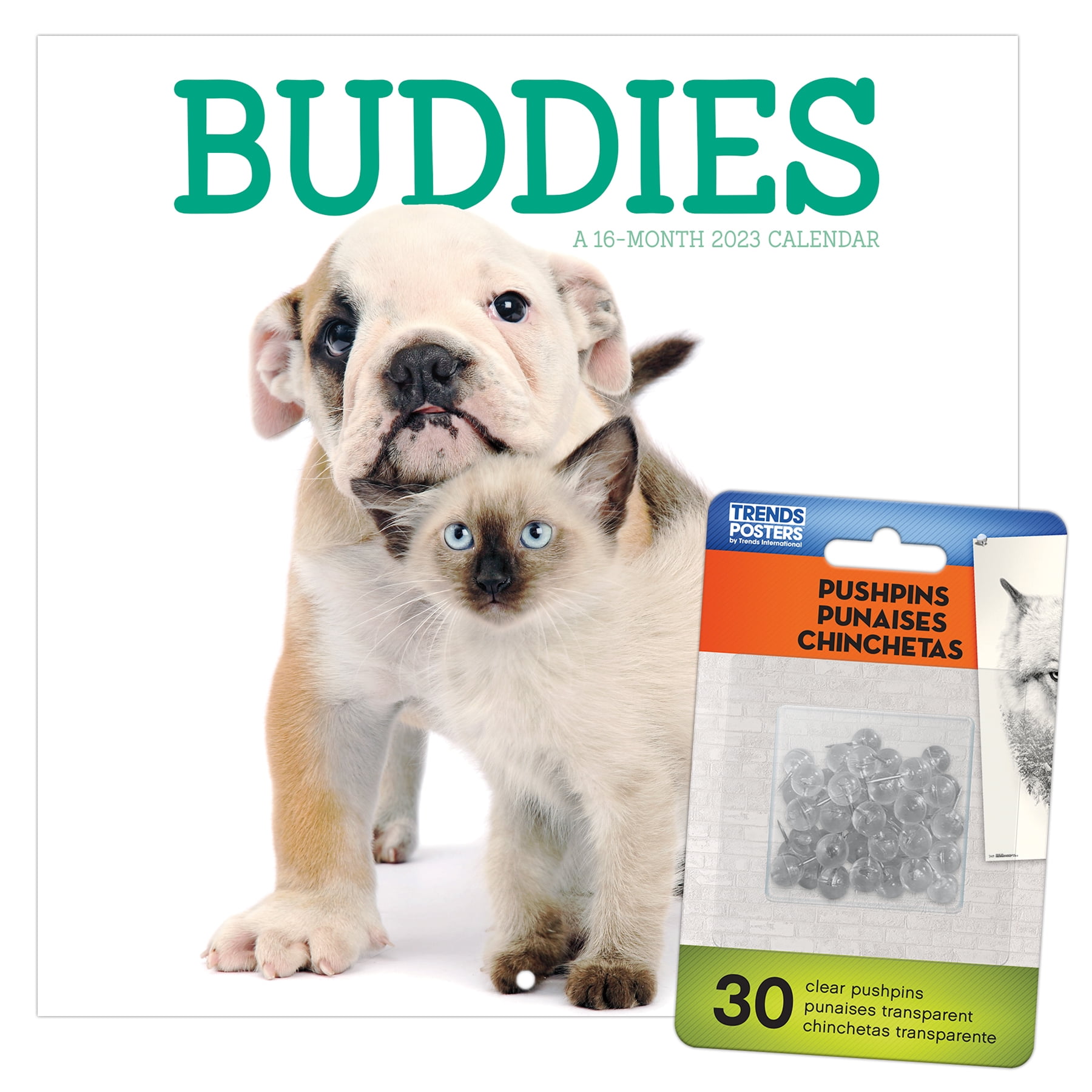 Trends International 2023 Buddies Mini Wall Calendar & Pushpins ...