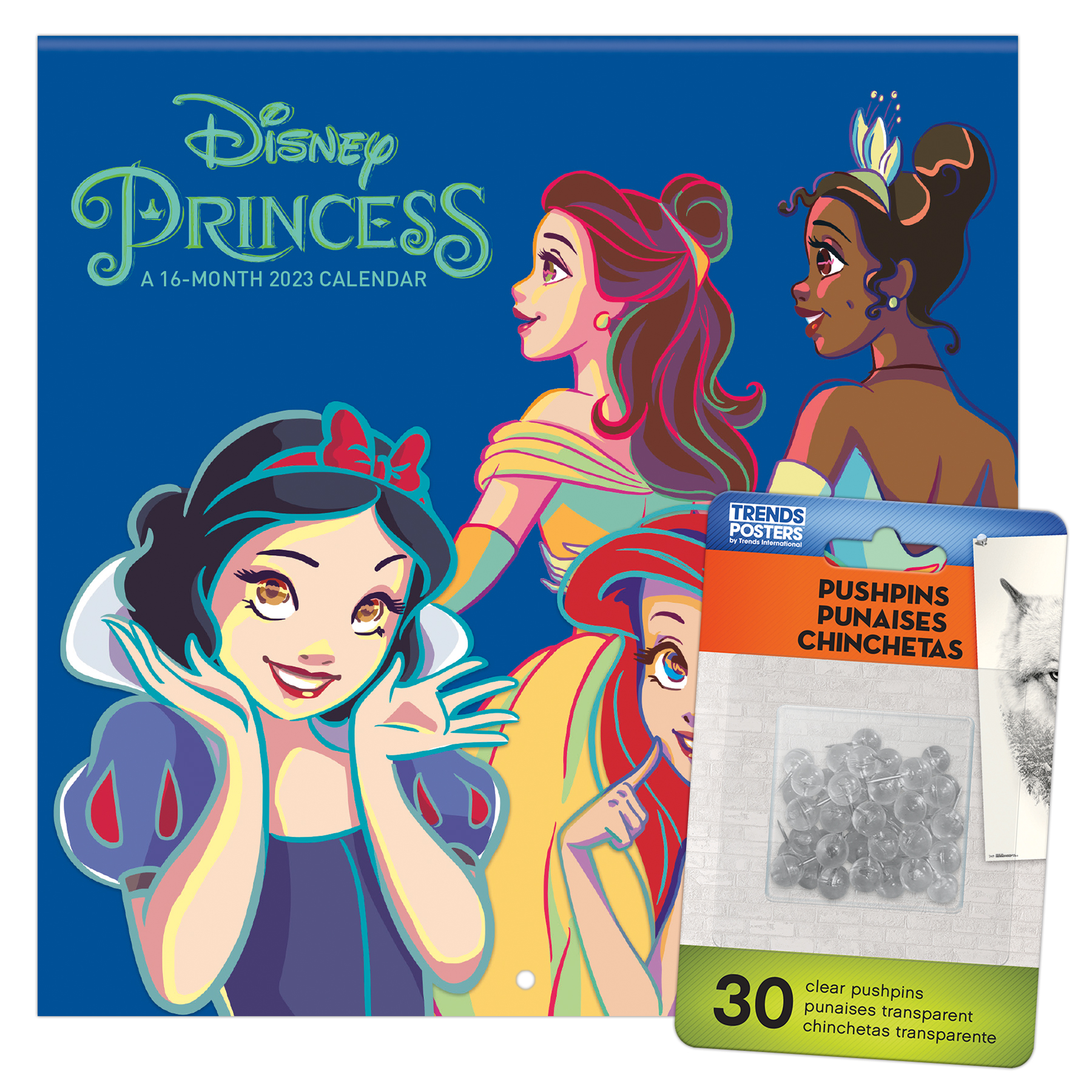 Trends International 2023 Disney Princess Mini Wall Calendar And Pushpins
