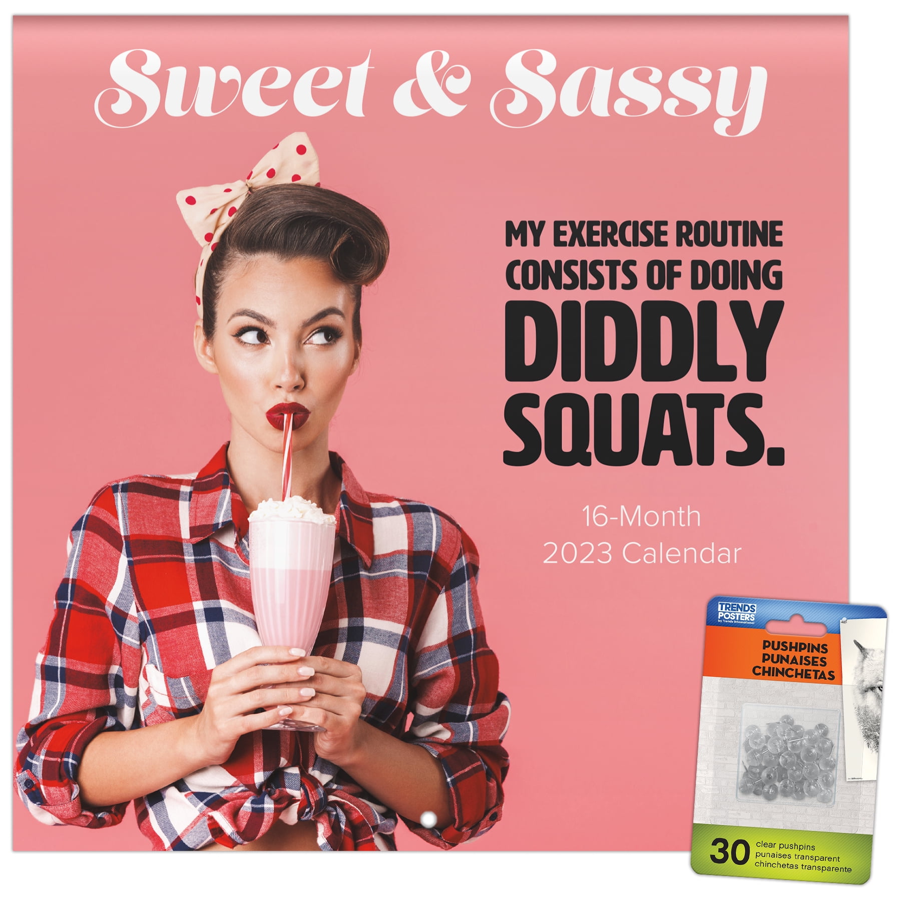 Trends International 2023 Sweet & Sassy Wall Calendar & Pushpins ...