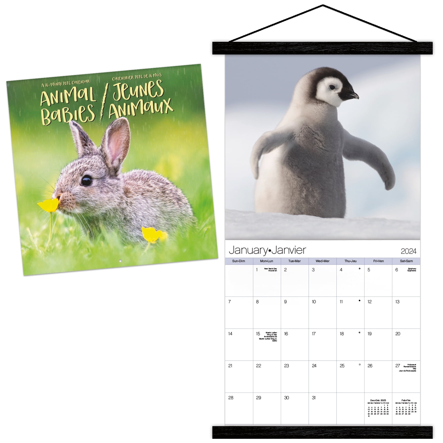 Trends International 2024 Animal Babies Wall Calendar & Magnetic Frame ...