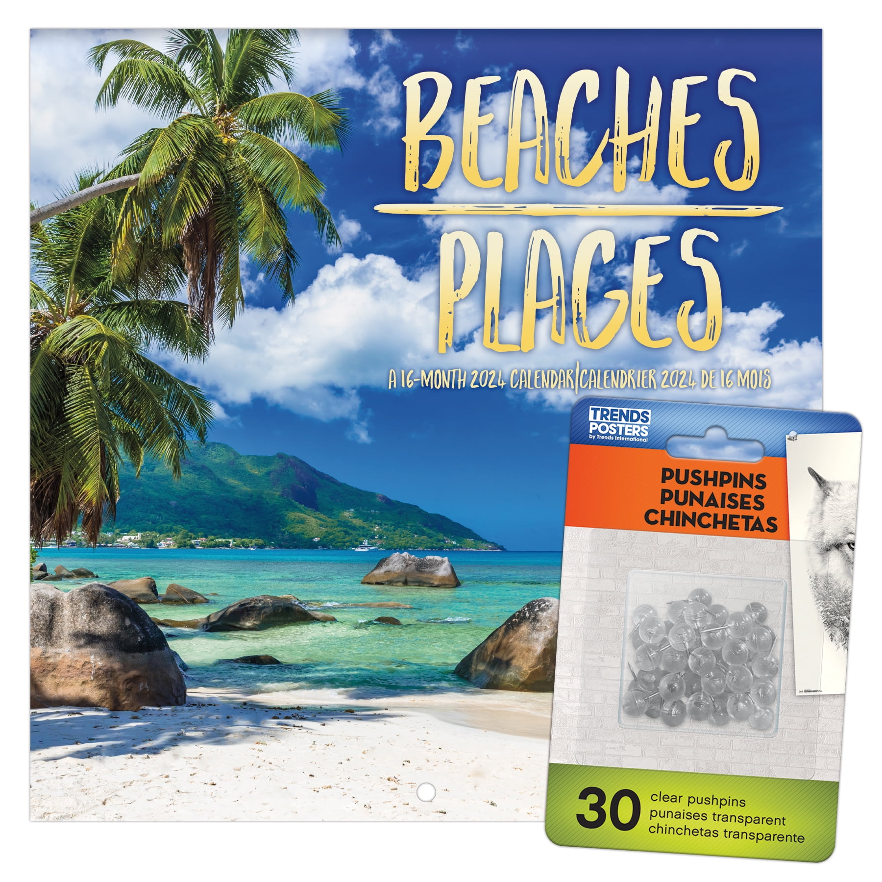 Trends International 2024 Beaches Mini Wall Calendar & Push Pins & Push ...