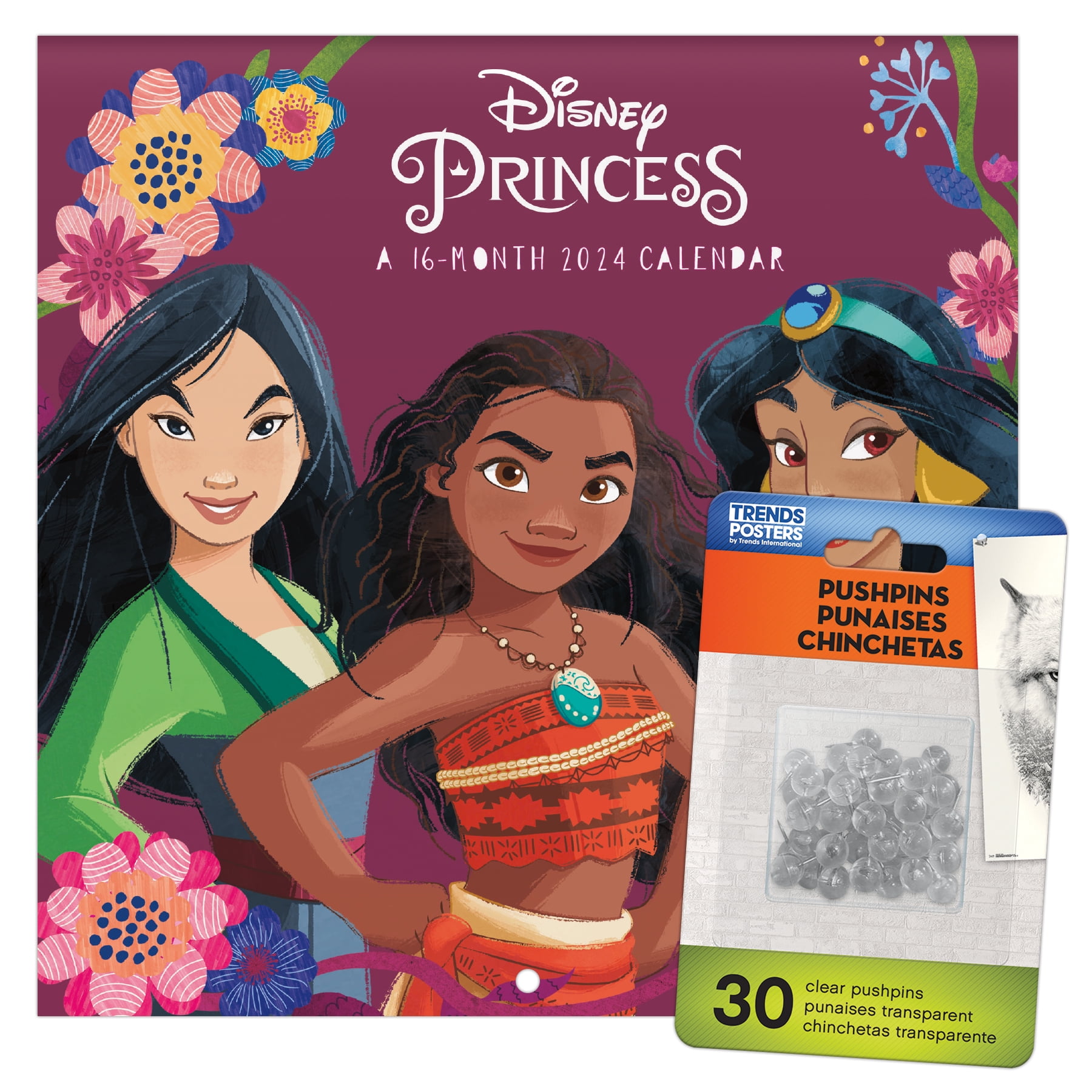 Trends International 2024 Disney Princess Mini Wall Calendar & Push ...