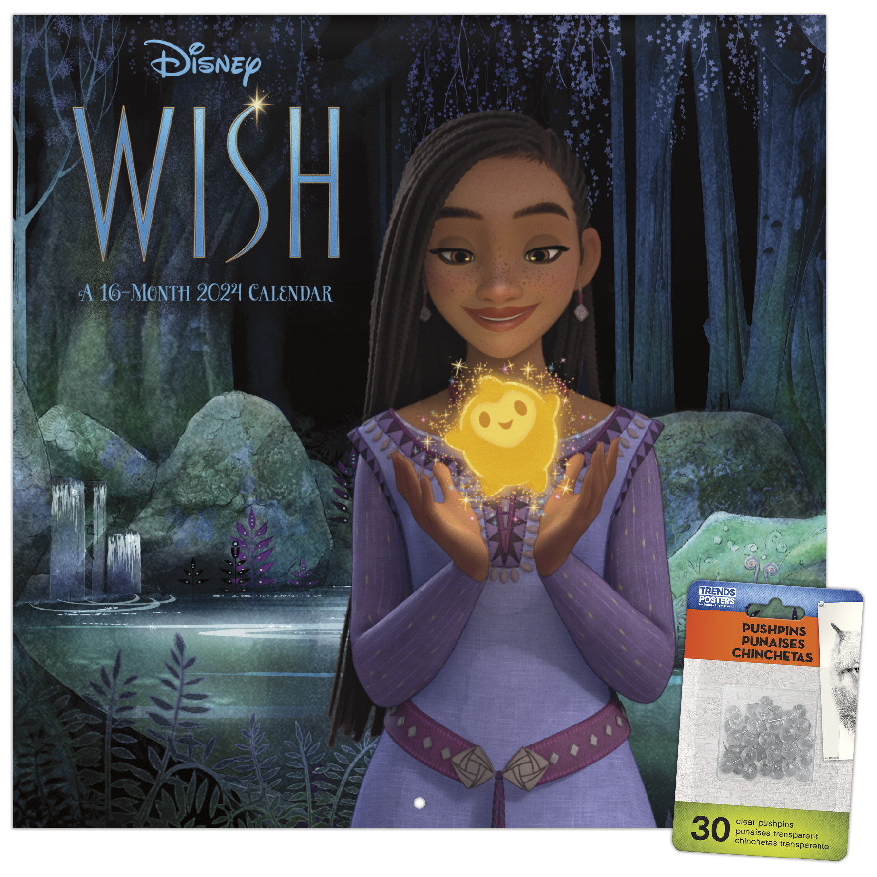 Trends International 2024 Disney Wish Wall Calendar & Push Pins ...