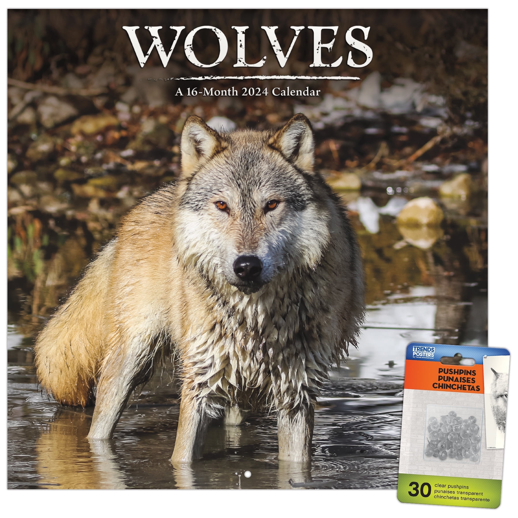 Trends International 2024 Wolves Wall Calendar & Push Pins - Walmart.com