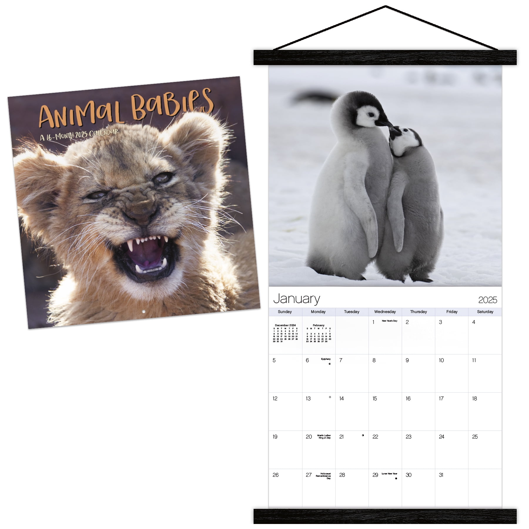 Trends International 2025 Animal Babies Wall Calendar & Magnetic Frame ...