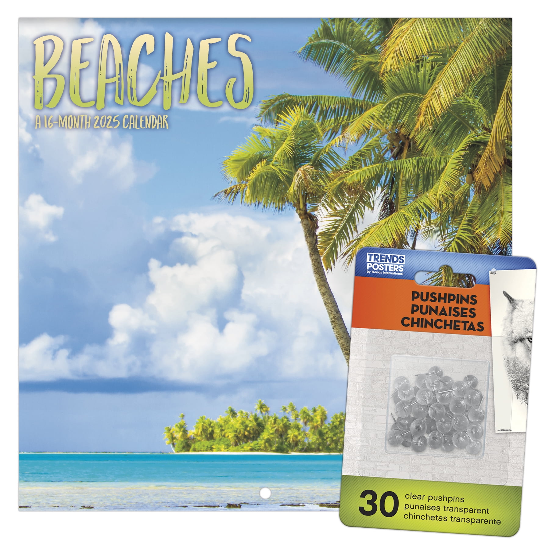 Trends International 2025 Beaches Mini Calendar & Push Pins - Walmart.com