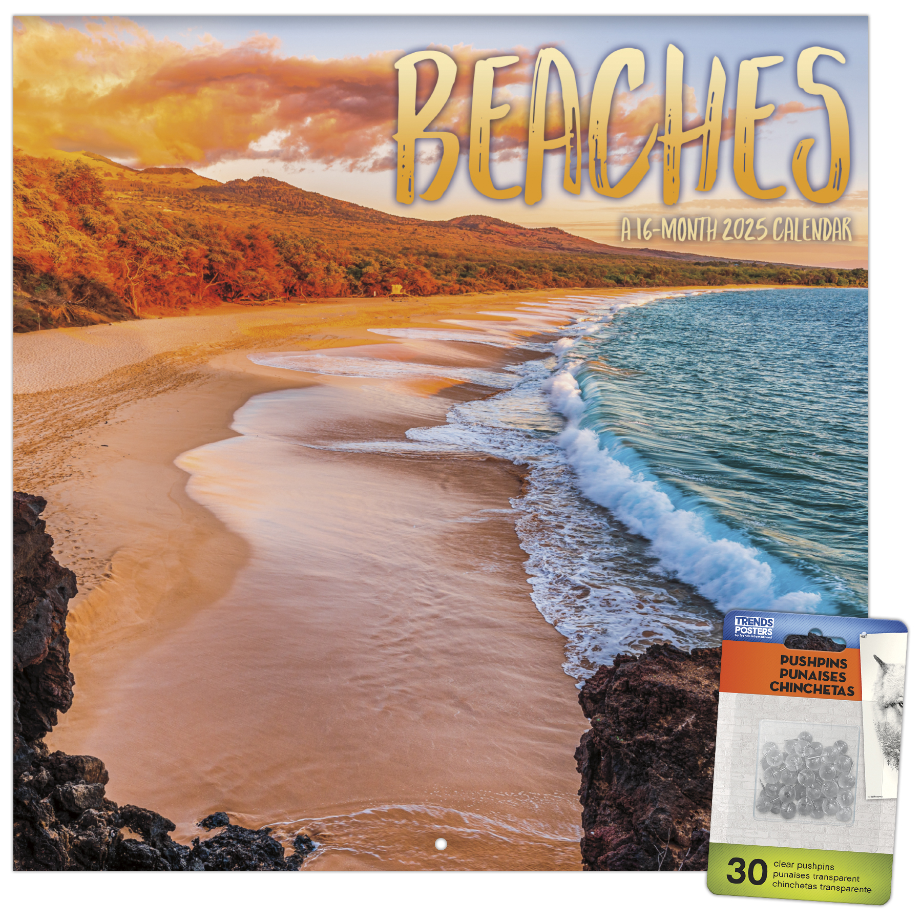 Trends International 2025 Beaches Wall Calendar & Push Pins - Walmart.com