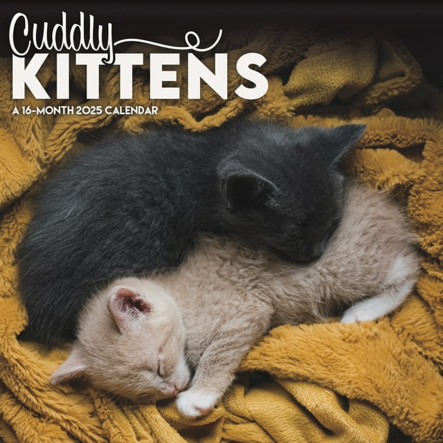 Trends International 2025 Cuddly Kittens Wall Calendar - Walmart.com