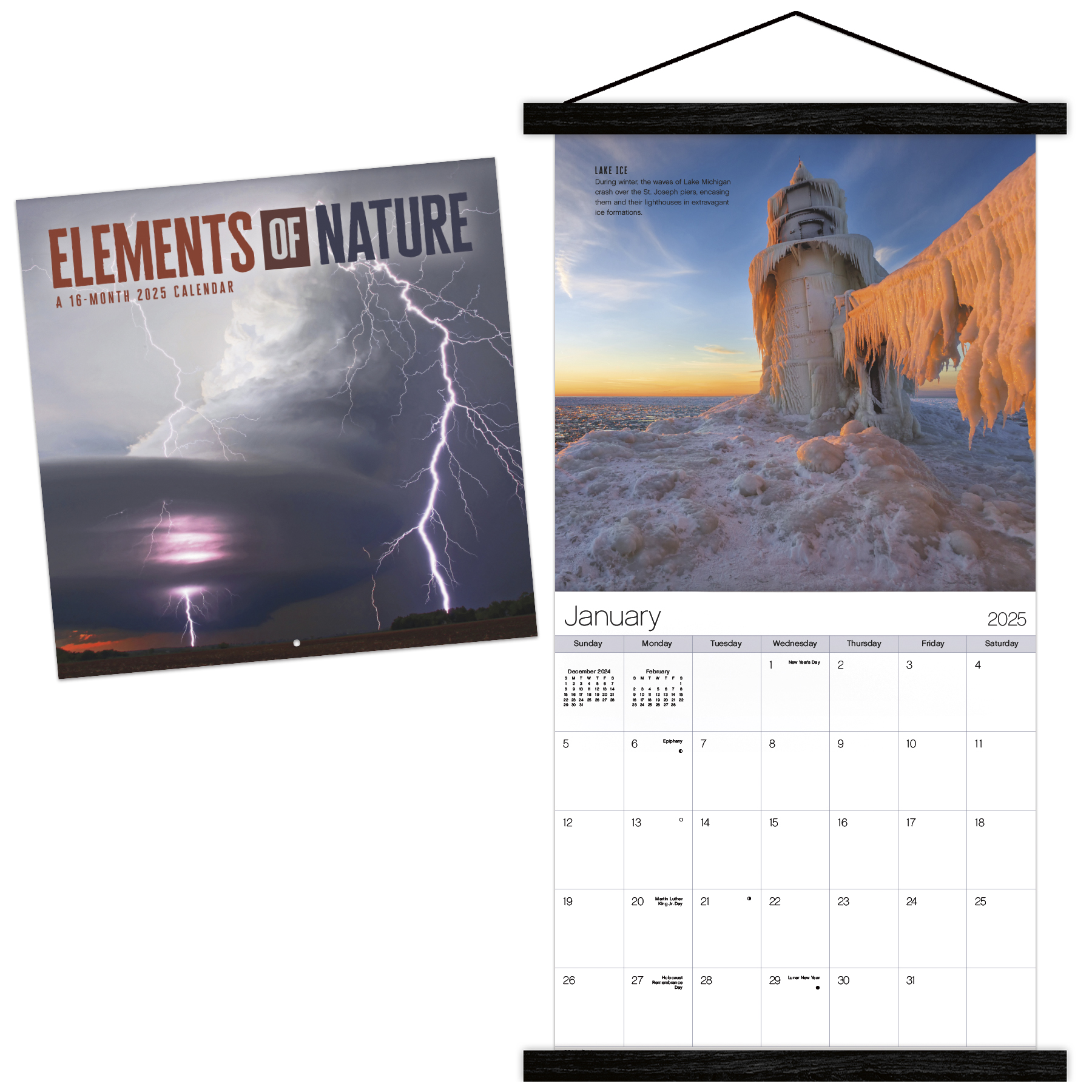 Trends International 2025 Elements of Nature Wall Calendar & Magnetic ...