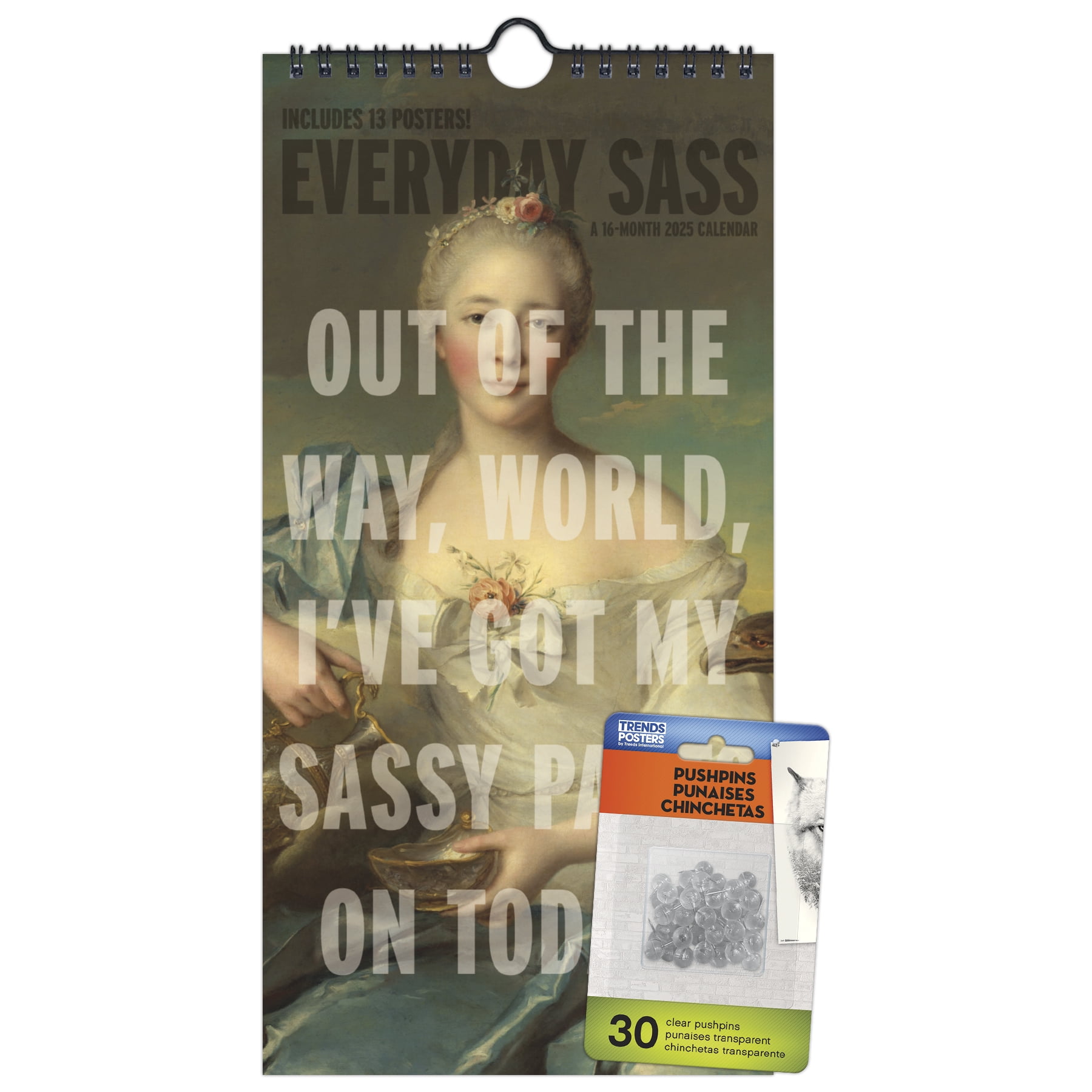 Trends International 2025 Everyday Sass Mini Poster Calendar & Push ...