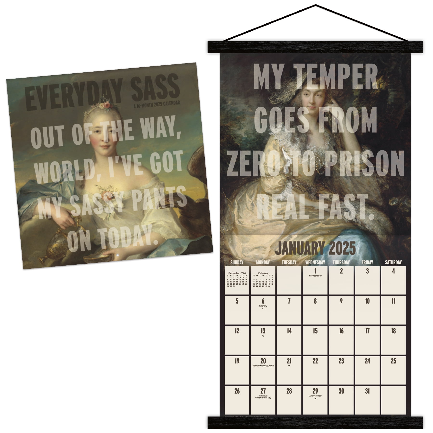 Trends International 2025 Everyday Sass Wall Calendar & Magnetic Frame ...