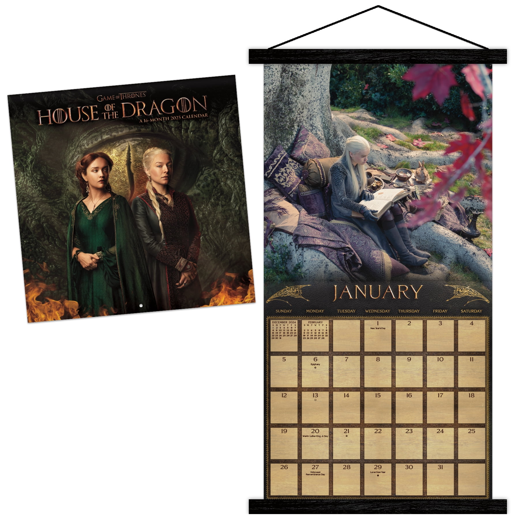 Trends International 2025 Game of Thrones - House of the Dragon Wall ...