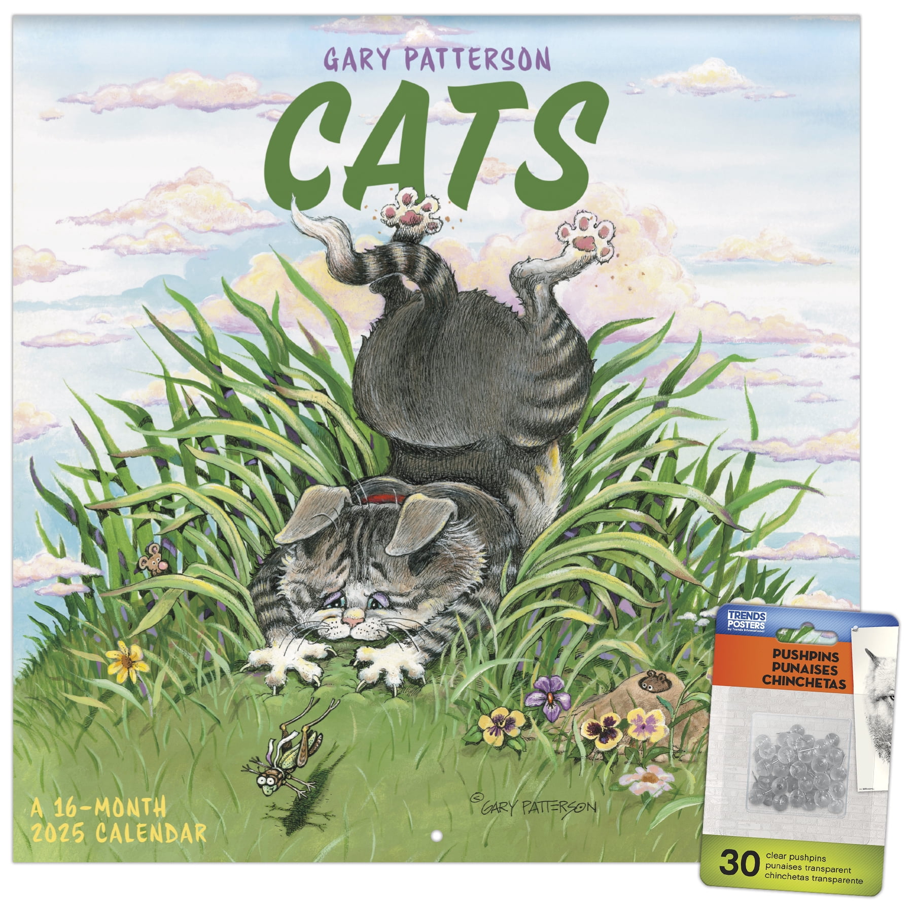 Trends International 2025 Gary Patterson - Cats Wall Calendar & Push ...