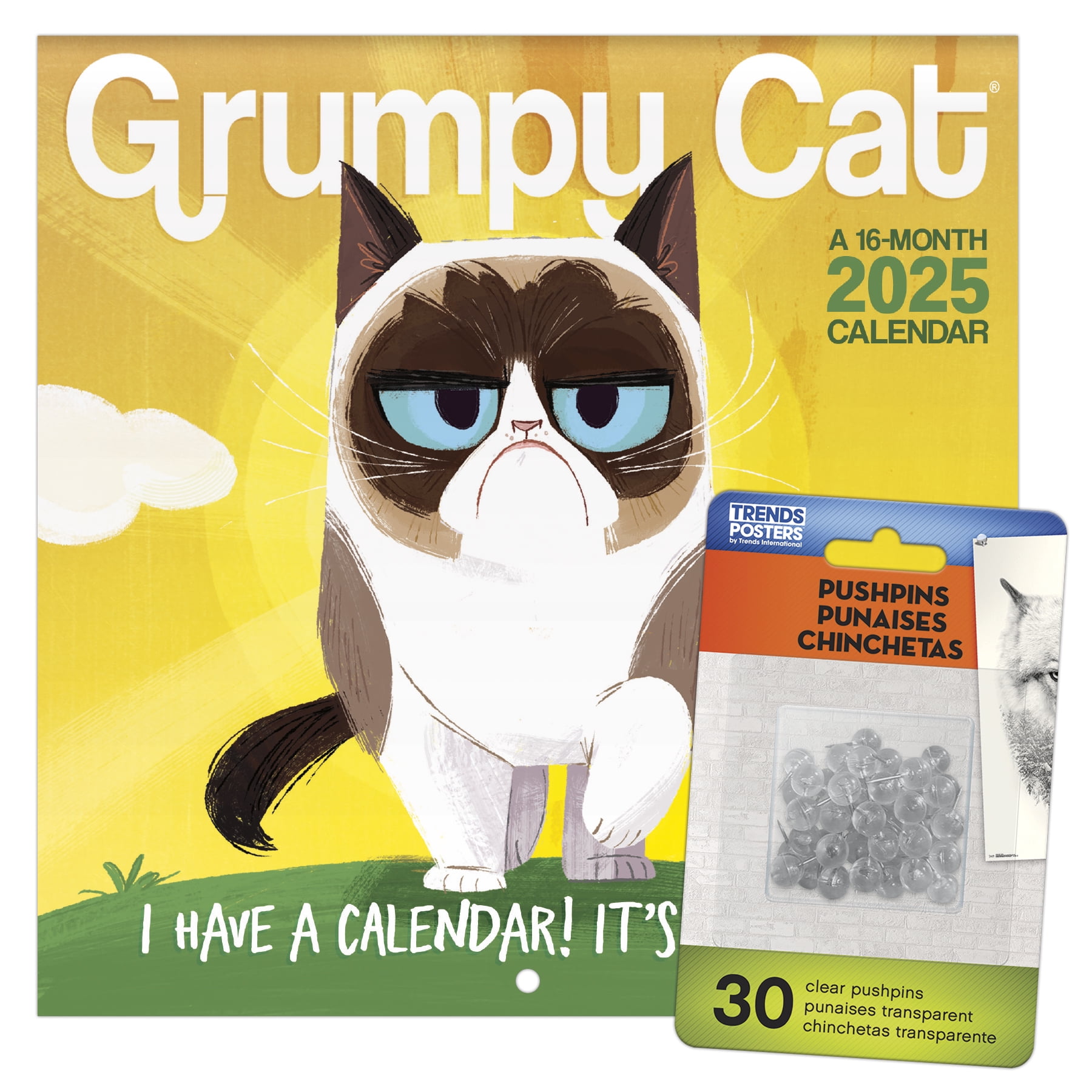 Trends International 2025 Grumpy Cat Mini Calendar & Push Pins - Walmart.com