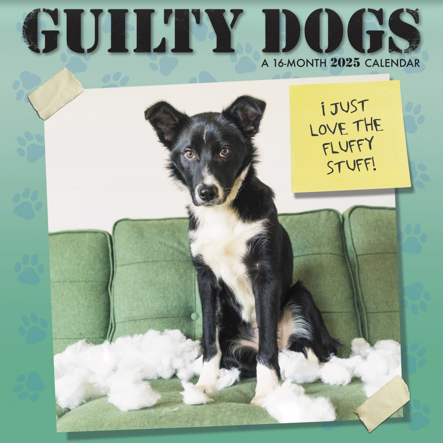 Trends International 2025 Guilty Dog Wall Calendar - Walmart.com
