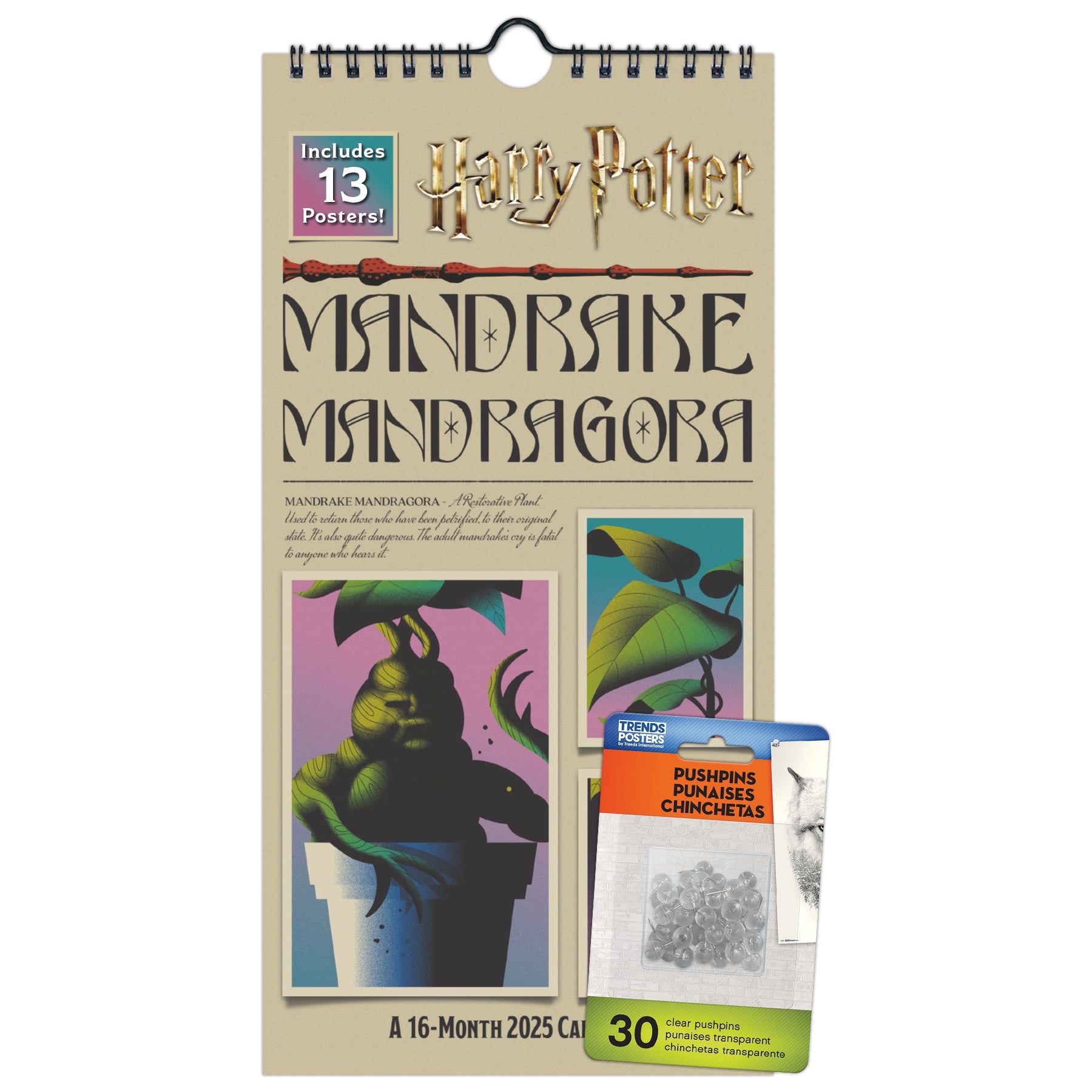 Trends International 2025 Harry Potter Mini Poster Calendar & Push Pins ...